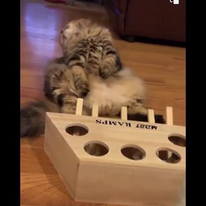 dalens-ai-pig-cat-goat Object Detection Dataset and Pre-Trained Model by ActoKuyt