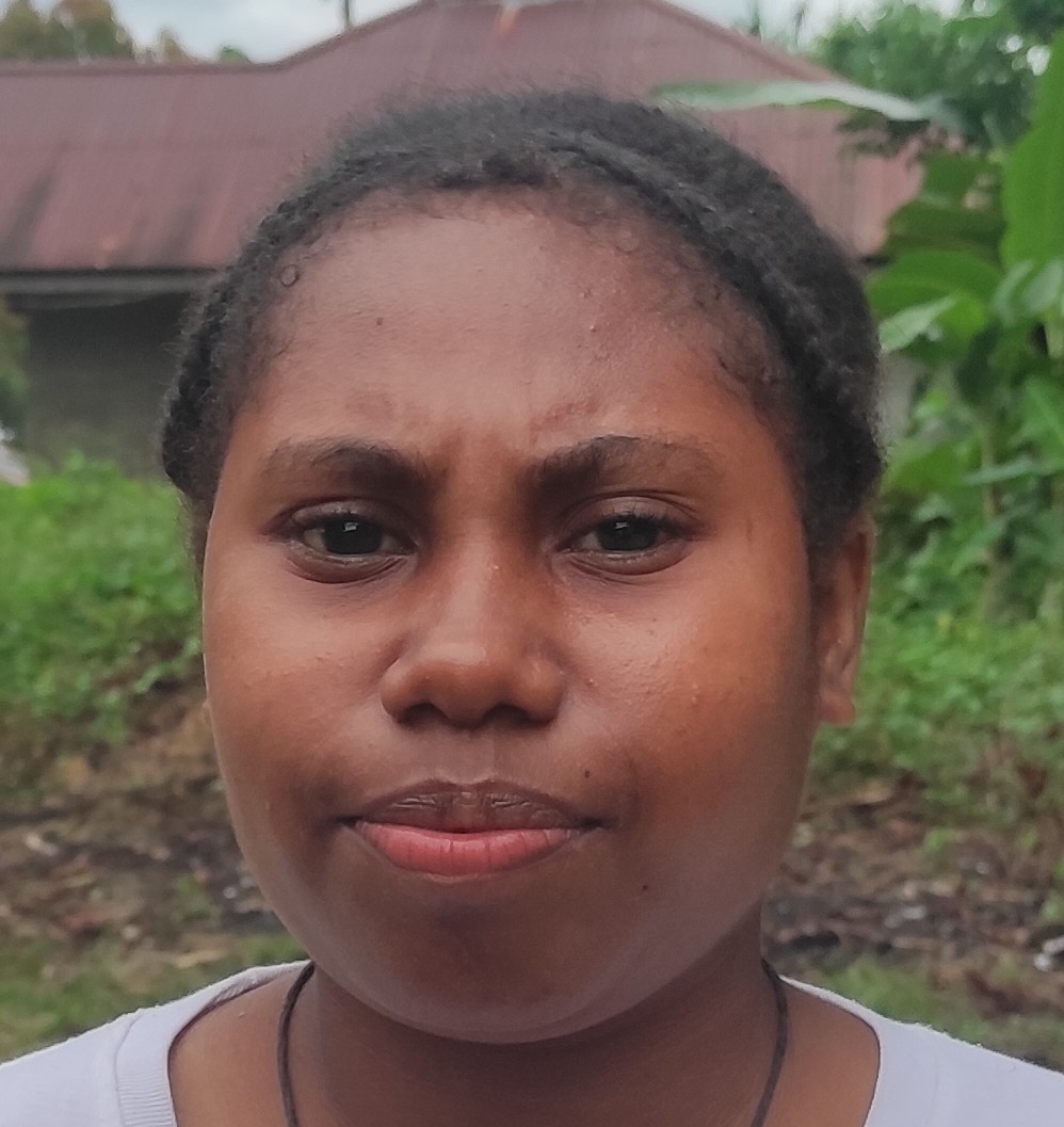 artic Object Detection Dataset and Pre-Trained Model by pandora