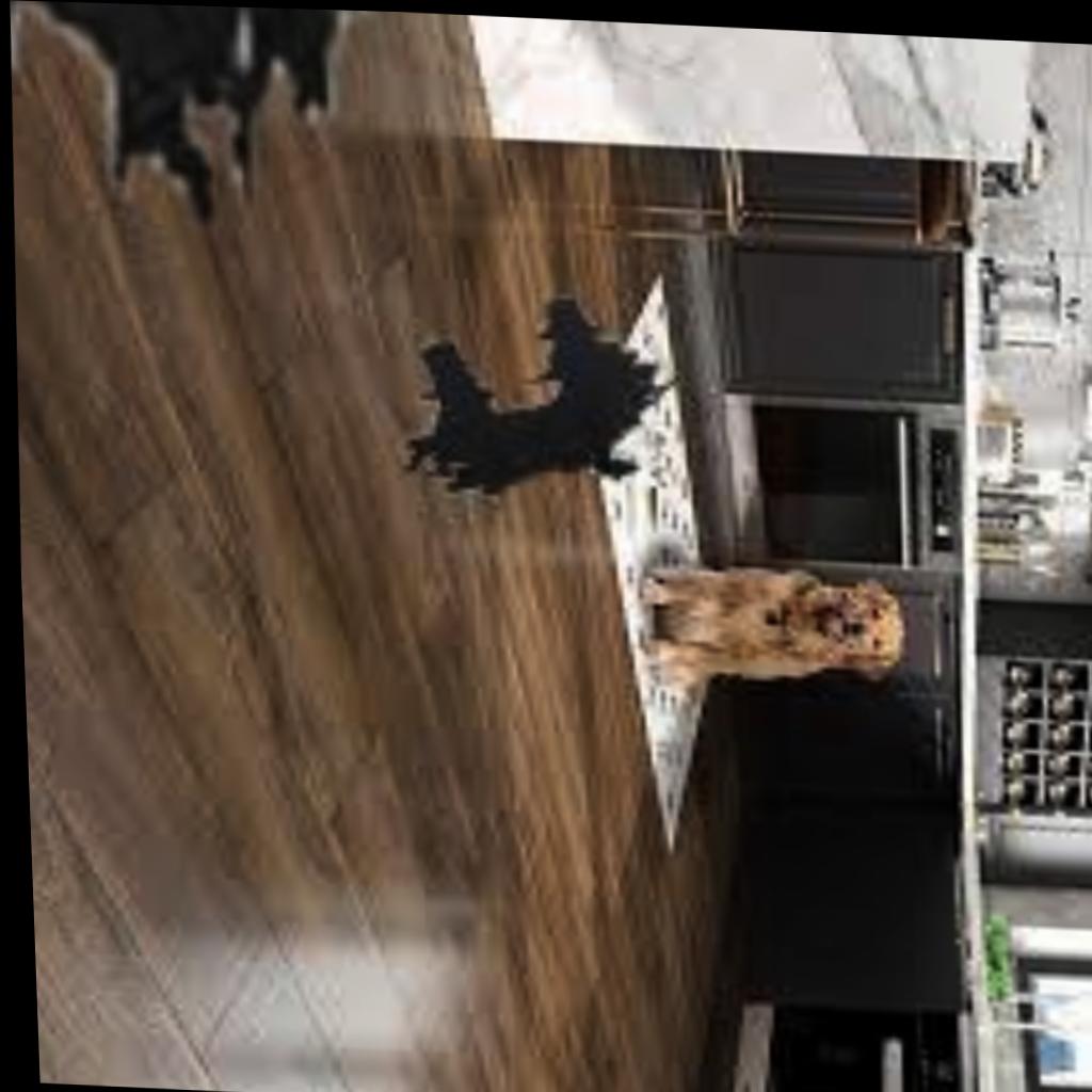 liquid Instance Segmentation Model (v4, 2025-08-13 8:03pm) by flower