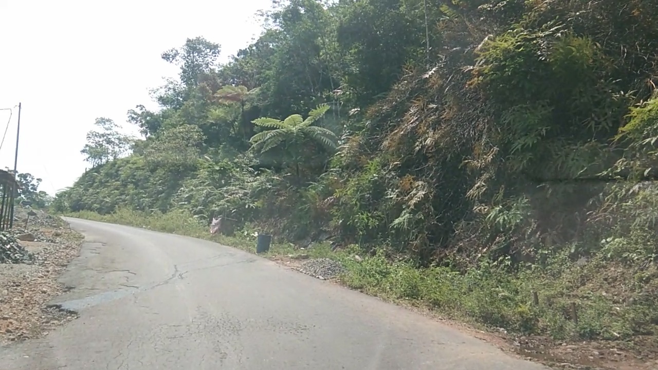 sayembara-rdd Object Detection Dataset and Pre-Trained Model by saquib sabir