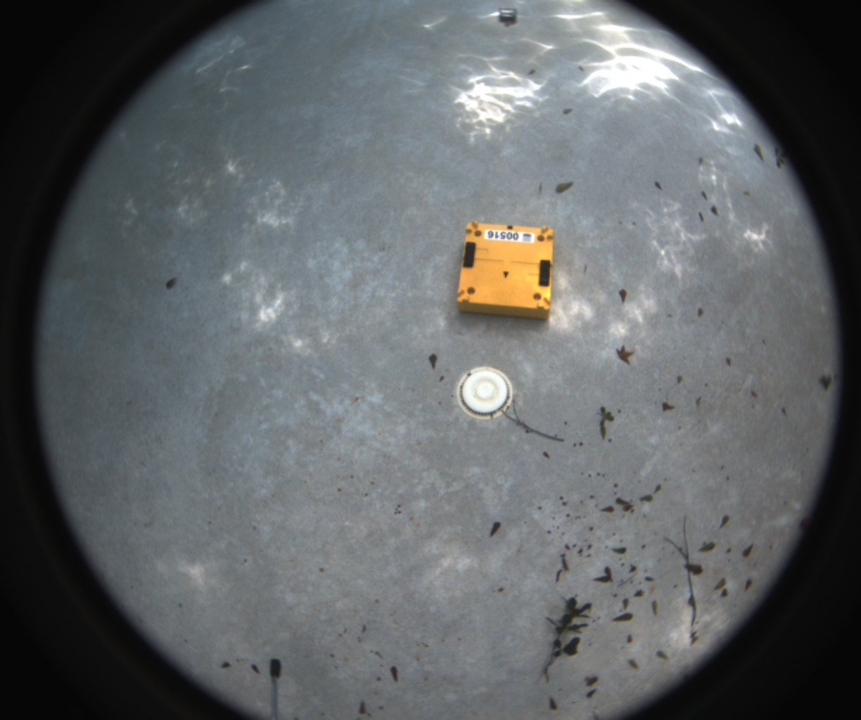 Obb Node Detection Object Detection Dataset And Pre Trained Model By Naitri