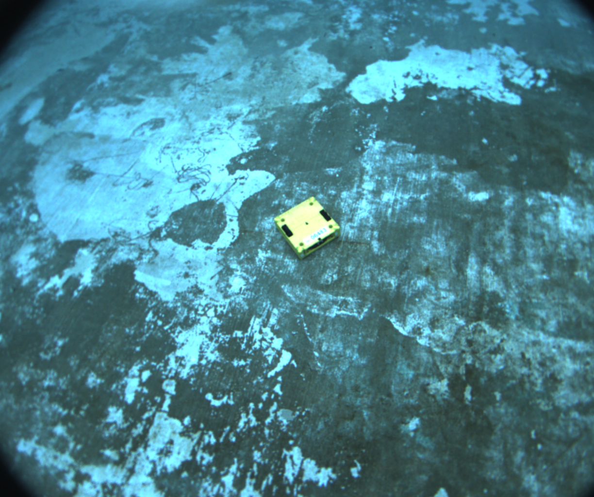 final_node_seg Instance Segmentation Model by naitri