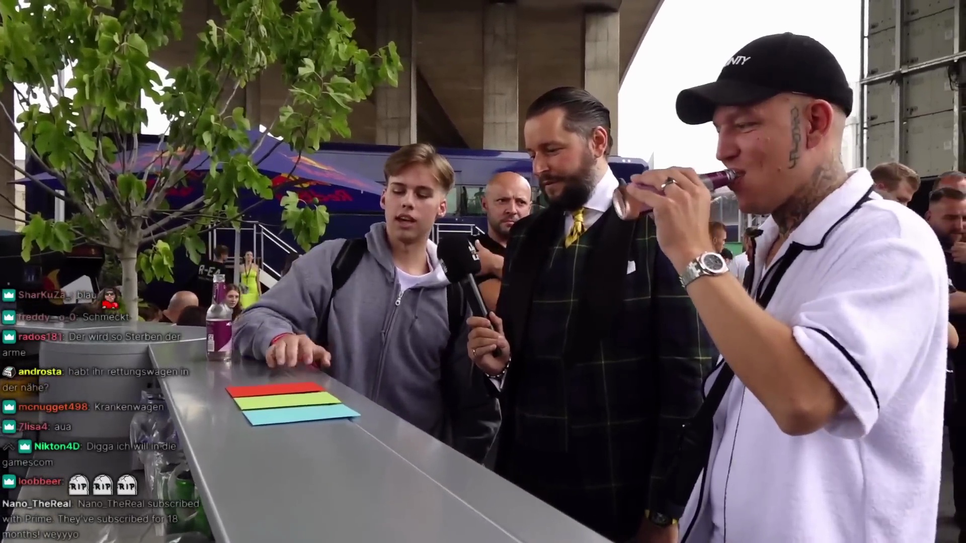 IRL Object Detection Model by Till Pler