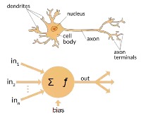 parth ramanuj (parth-ramanuj-b7vhz) - Roboflow Universe