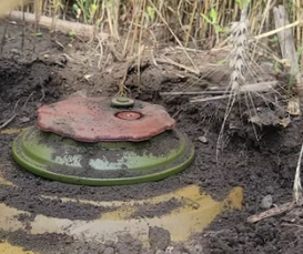 land mine detector Object Detection Model by land mine