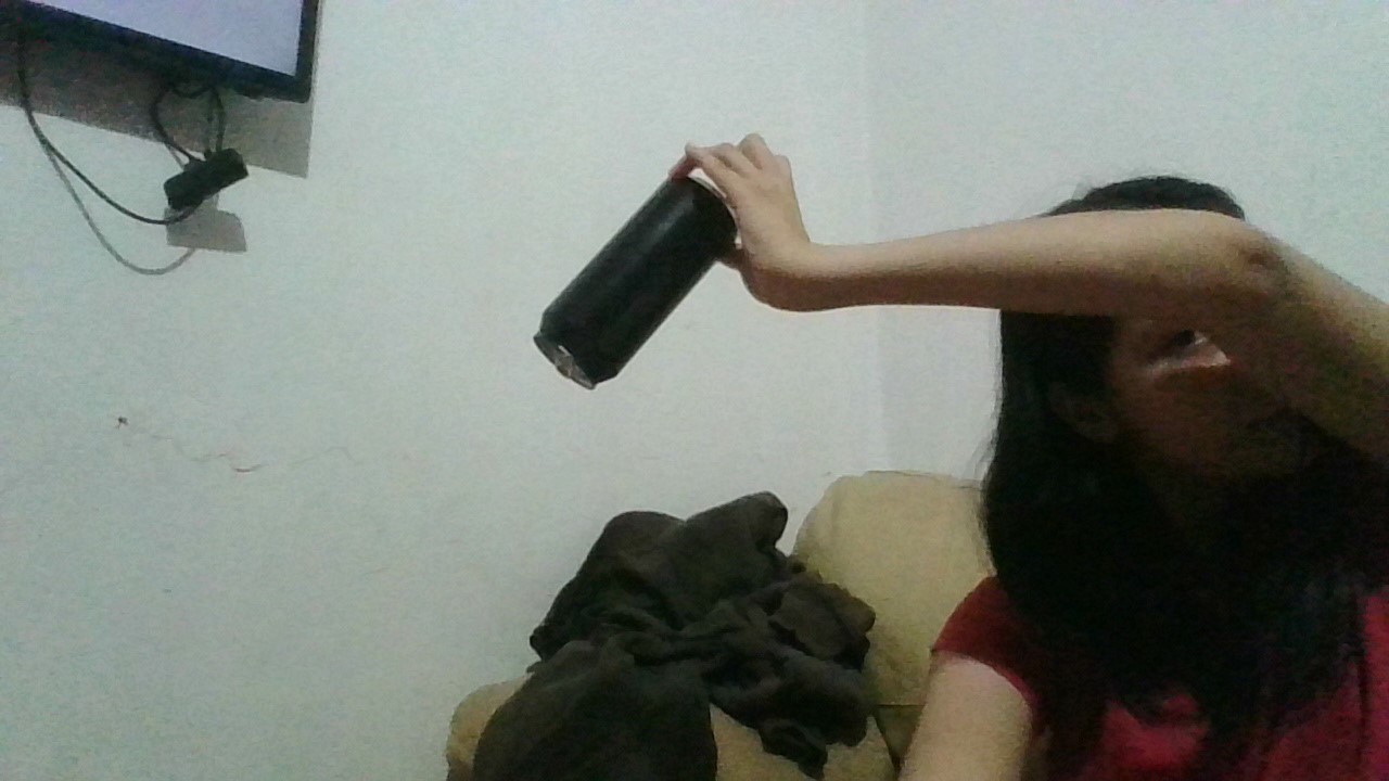 val Object Detection Dataset by latas