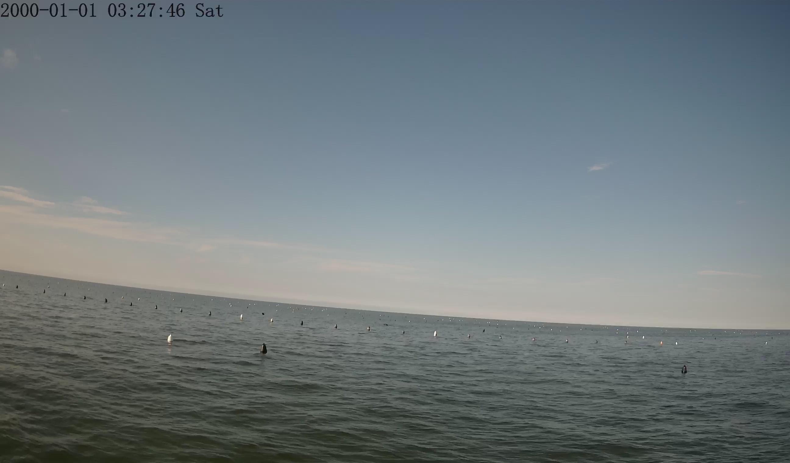 Project Buoy Image Set Object Detection Model V1 2024 06 28 4 15pm