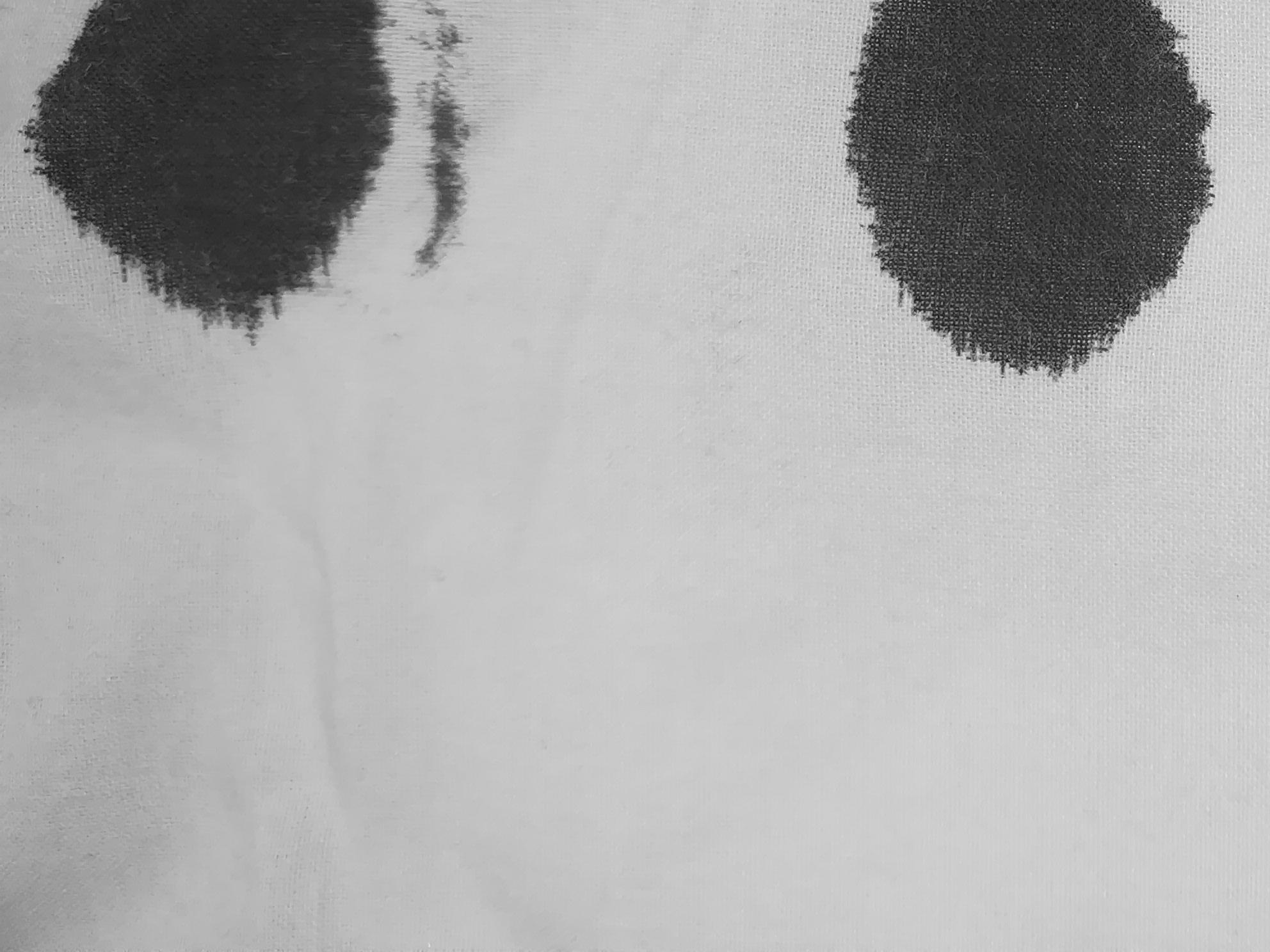 Dust Object Detection Dataset and Pre-Trained Model by Dust