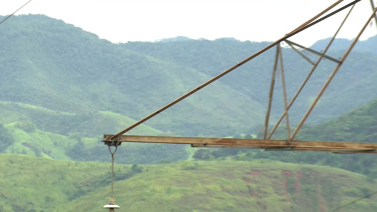 PTL-AI Furnas Dataset Object Detection Dataset by isxqian