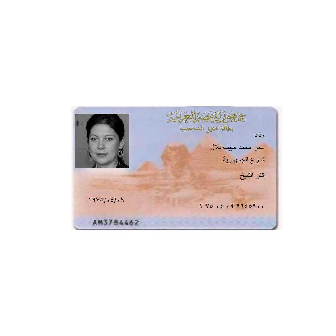 Egyptian IDs 2 Object Detection Dataset by gradution