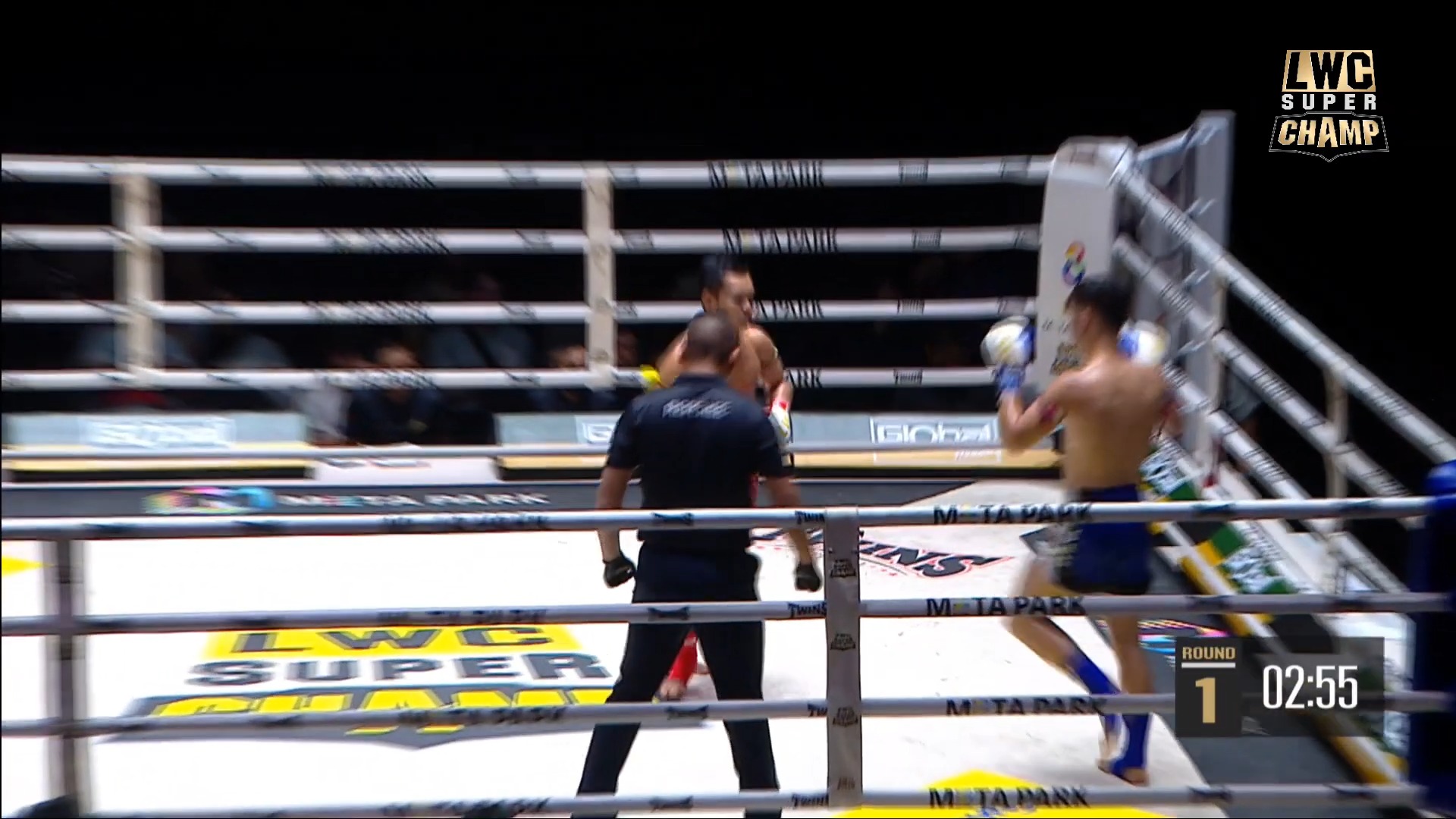 How to Use the boxing Object Detection API