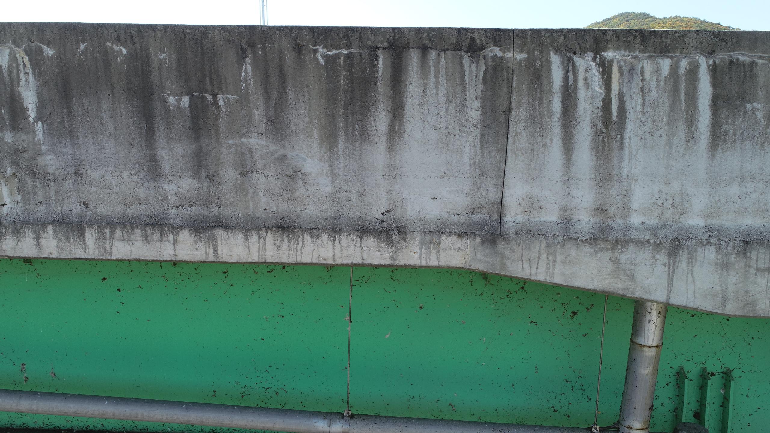 Efflorescence Instance Segmentation Dataset by Efflorescence