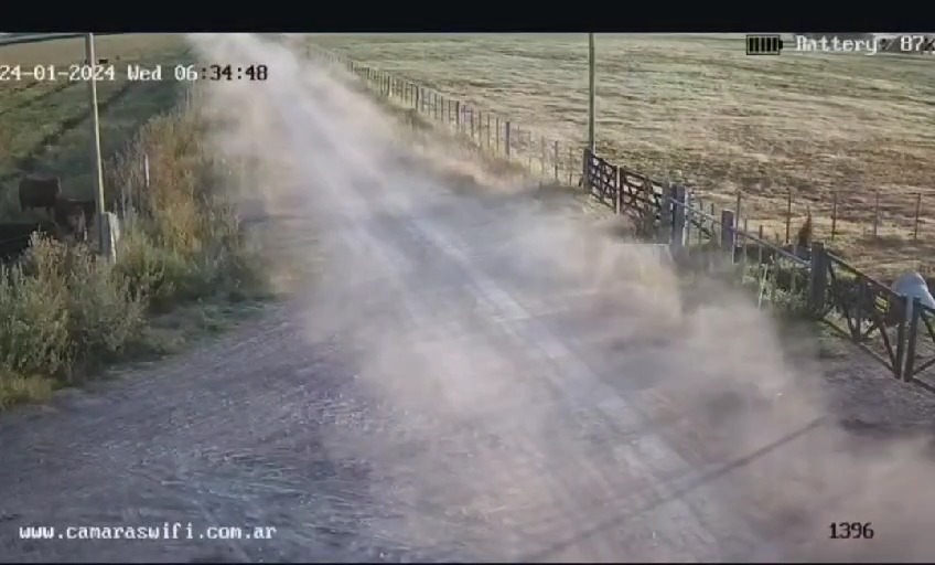 Animals Detection Object Detection Dataset By Wild Animals