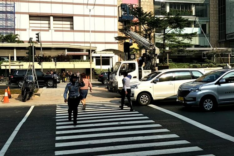 zebra cross Object Detection Dataset by Eka
