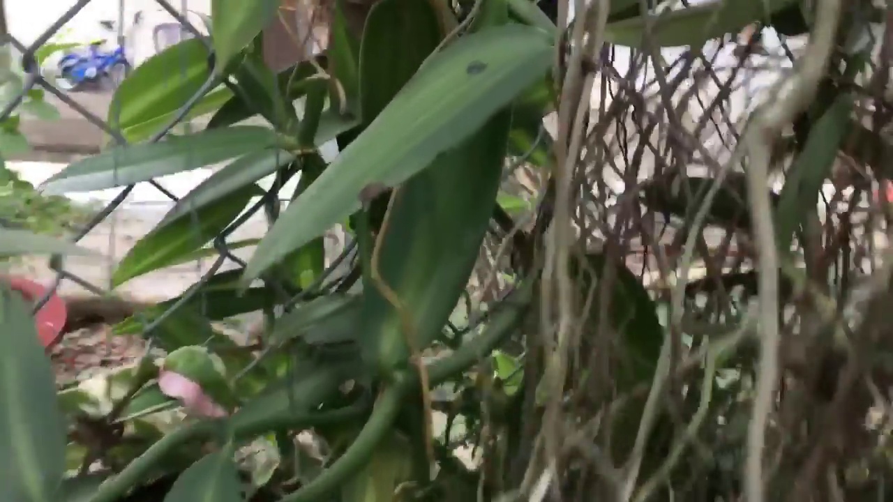 tt_final1 Object Detection Dataset and Pre-Trained Model by NhanHoang