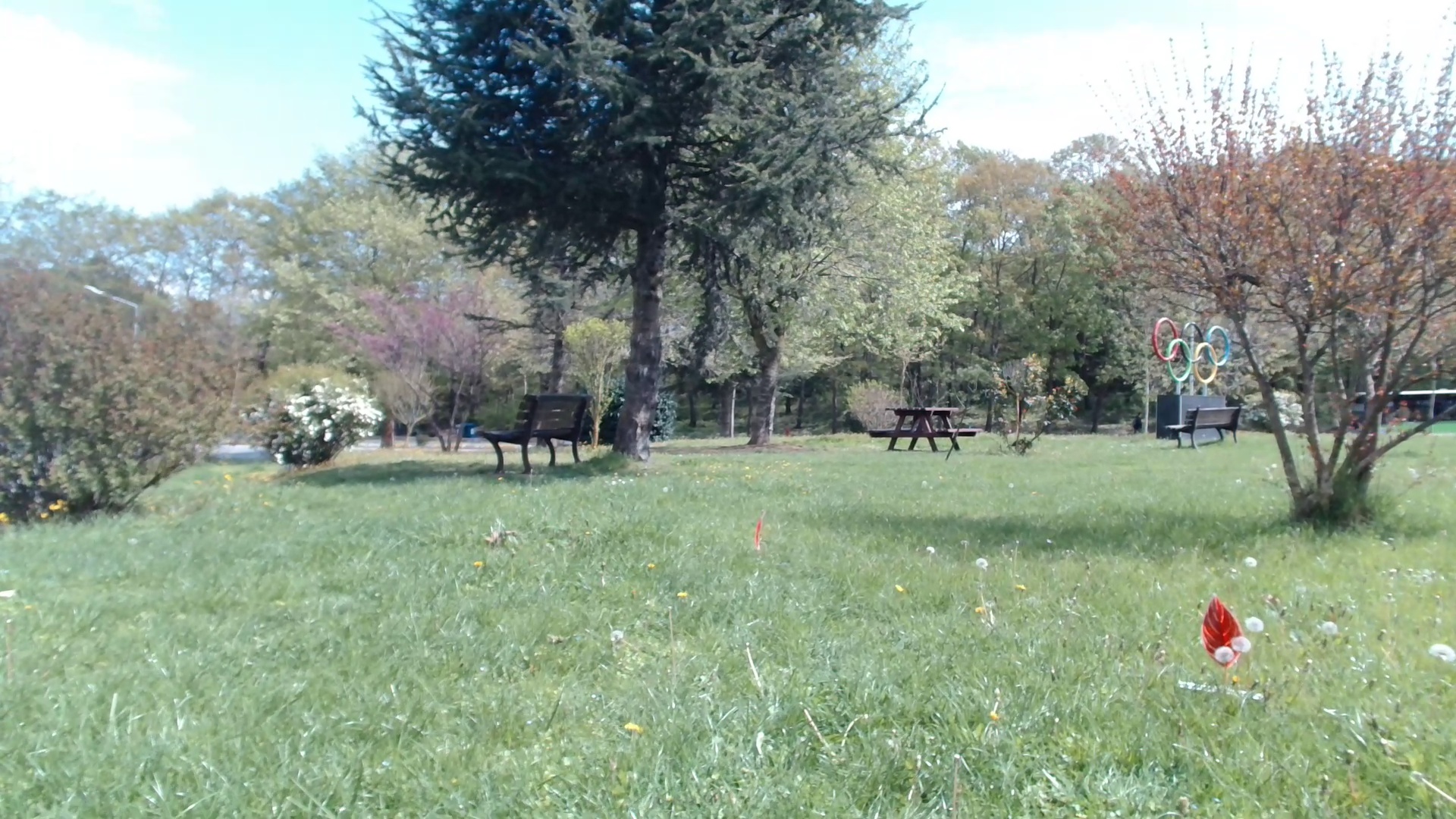 Plant Detection Object Detection Dataset And Pre Trained Model By Okul