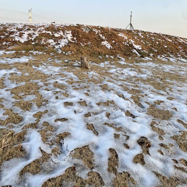 Stone Object Detection Dataset And Pre Trained Model By Objectdetection