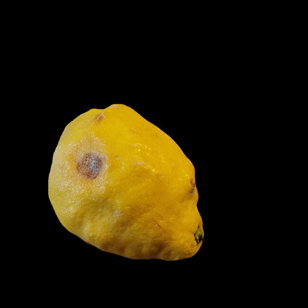 Lemon Object Detection Model by Myproject