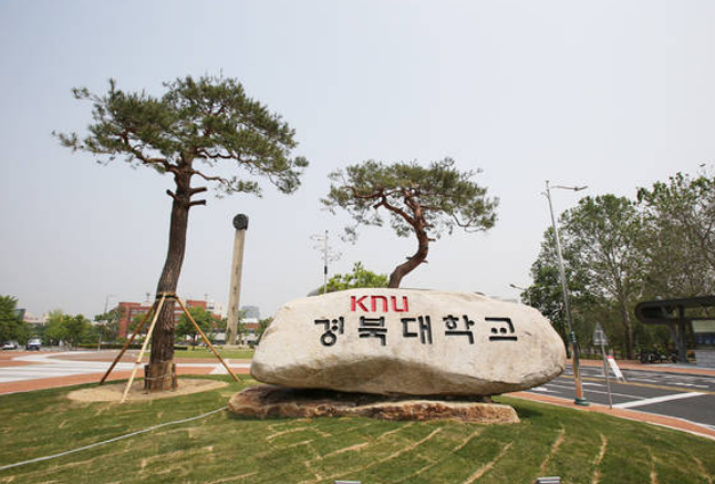 Examples - Roboflow Universe