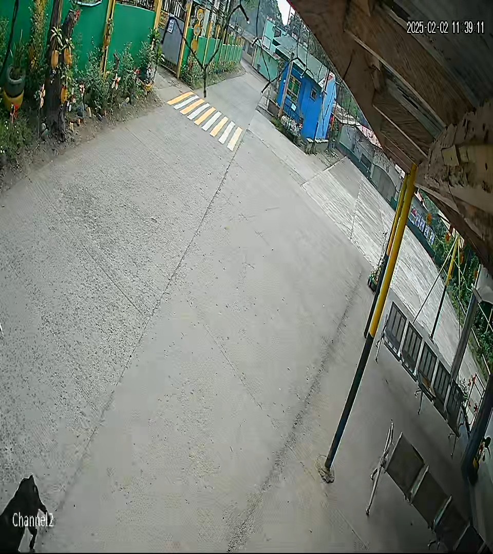 Stray Dog Object Detection Dataset by THESIS