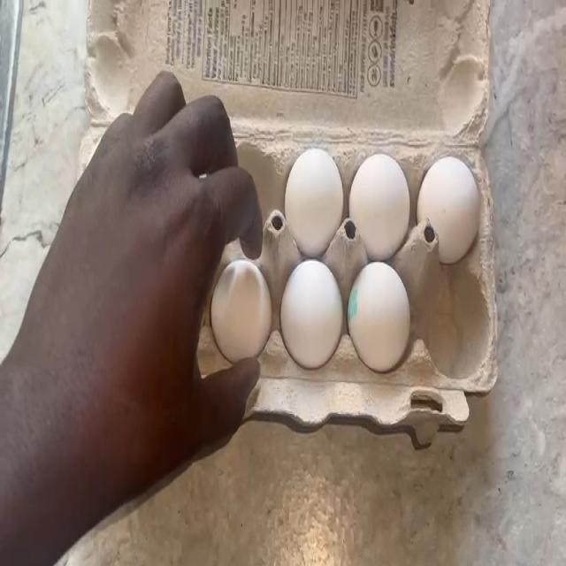 Egg Object Detection Dataset and Pre-Trained Model by Chicken Farm