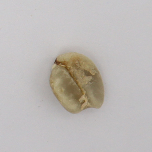 Coffee Green Bean Defect Object Detection Model by Dwi Adityaa