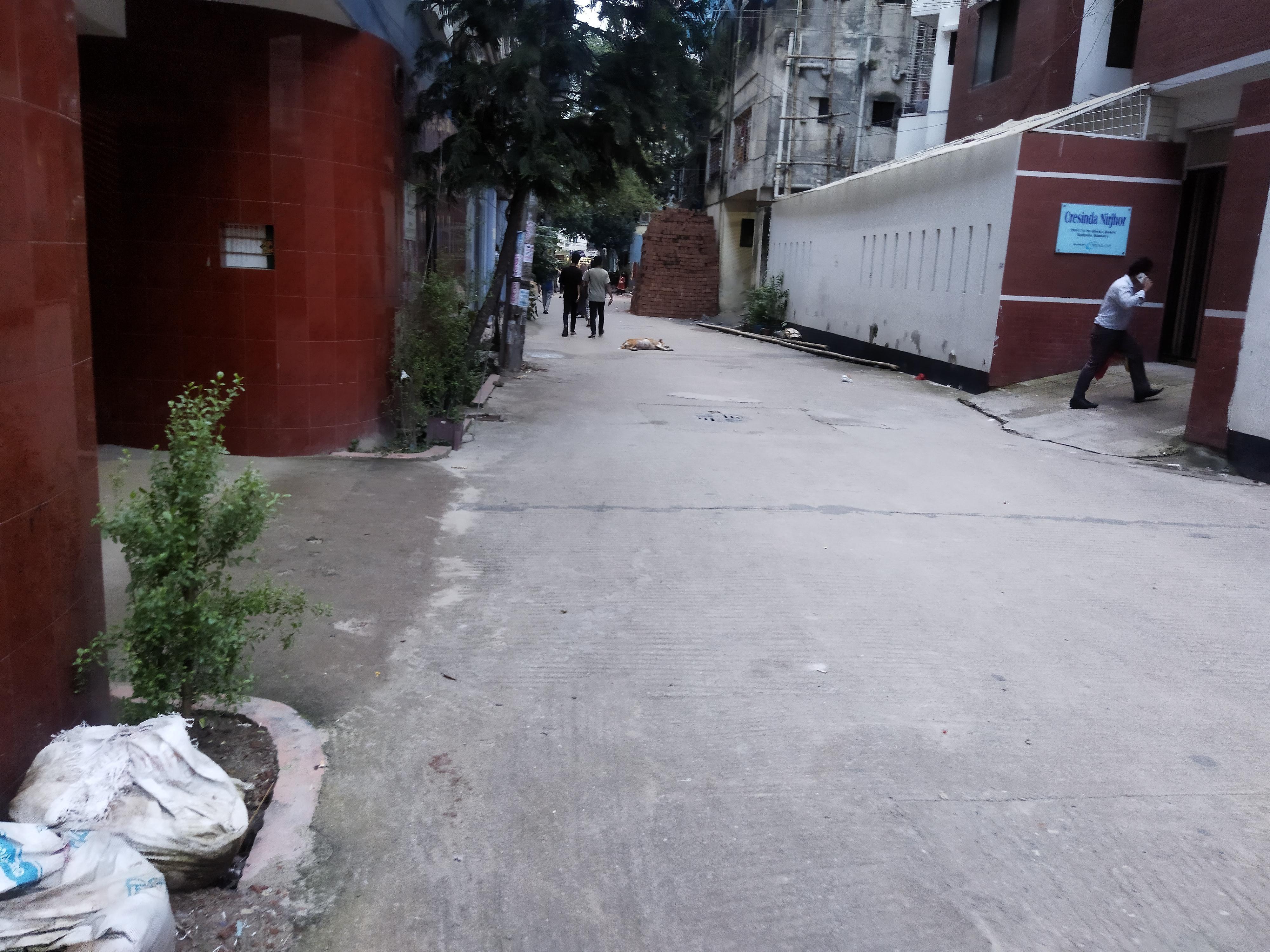 Train Object Detection Dataset By C 2