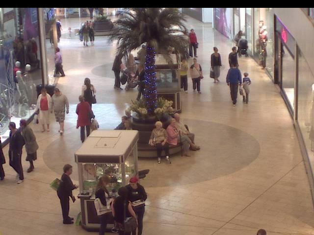 Human Counter Object Detection Dataset And Pre Trained Model By Mall
