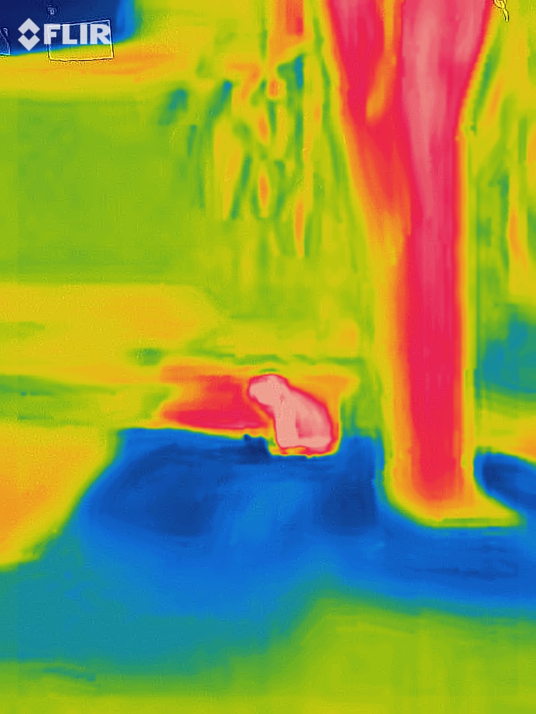 Thermal Man & Animal Object Detection Dataset by CV