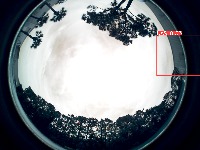 KINTEL - Roboflow Universe