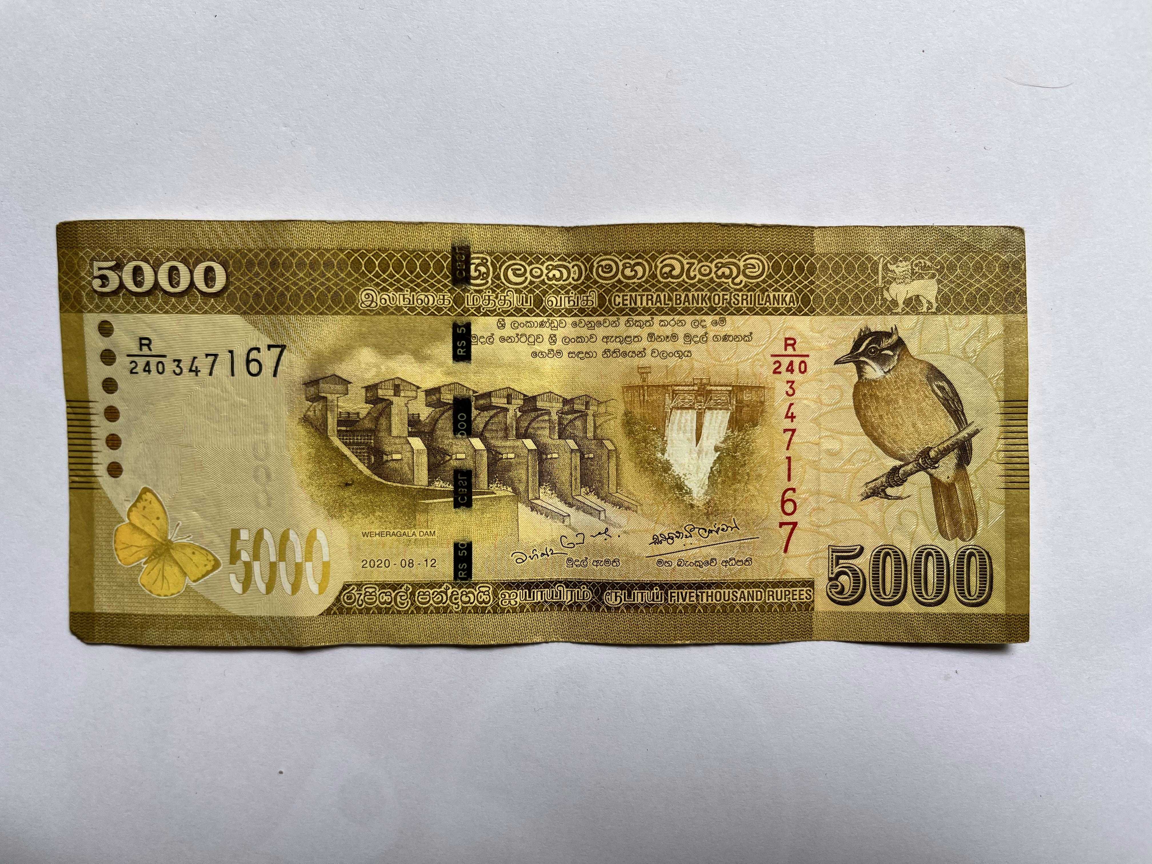 money-rec Object Detection Dataset and Pre-Trained Model by money