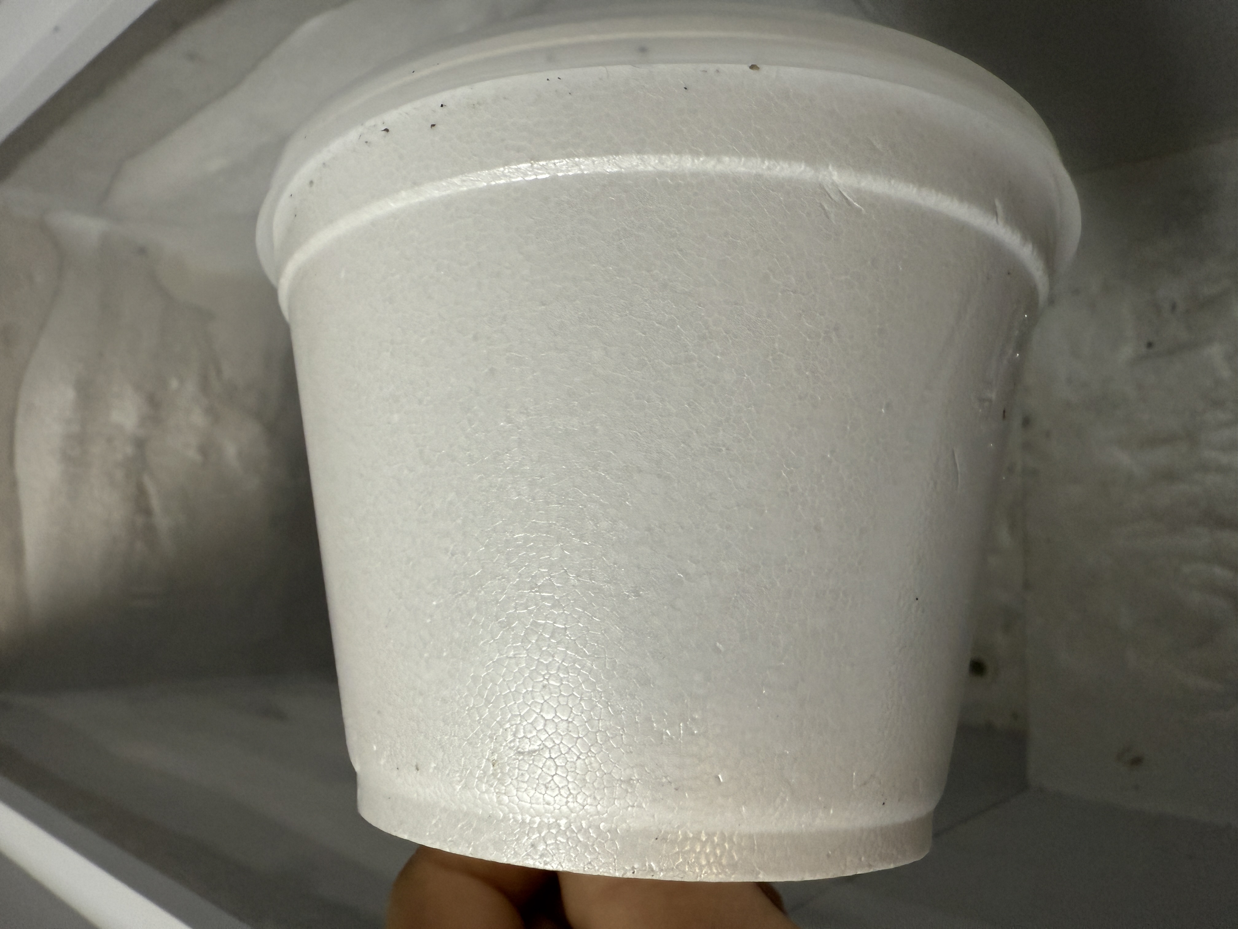 Freezer-Detection Object Detection Model by CHibbitts