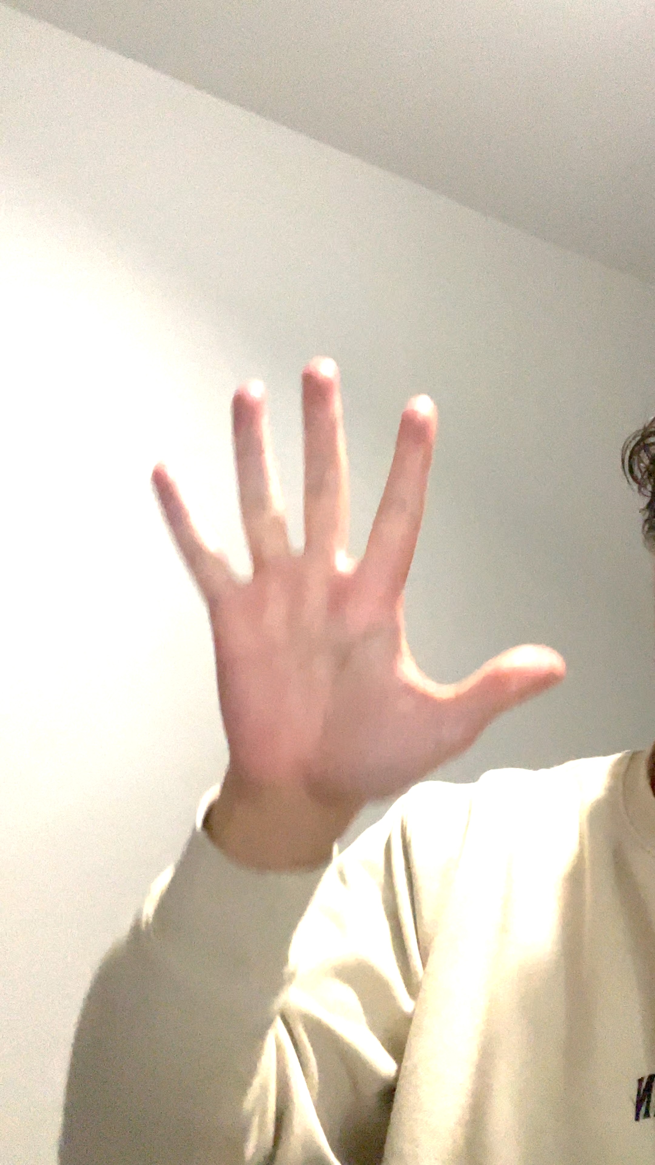 TPIA - Roboflow Universe