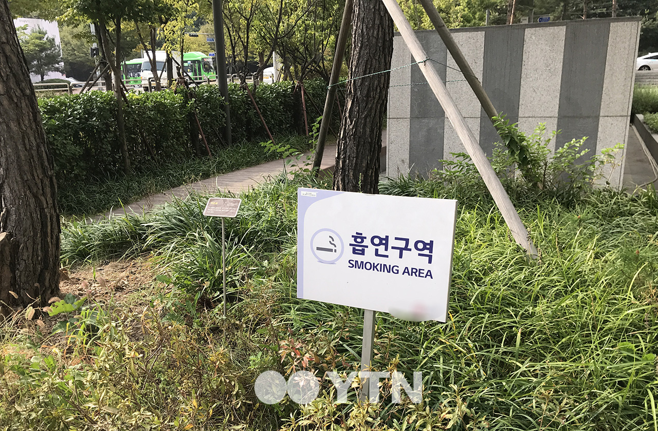 Smoking Sign Object Detection Dataset And Pre Trained Model By Smokingmodel