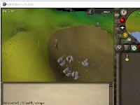 Project Galaxy Brain OSRS - Roboflow Universe