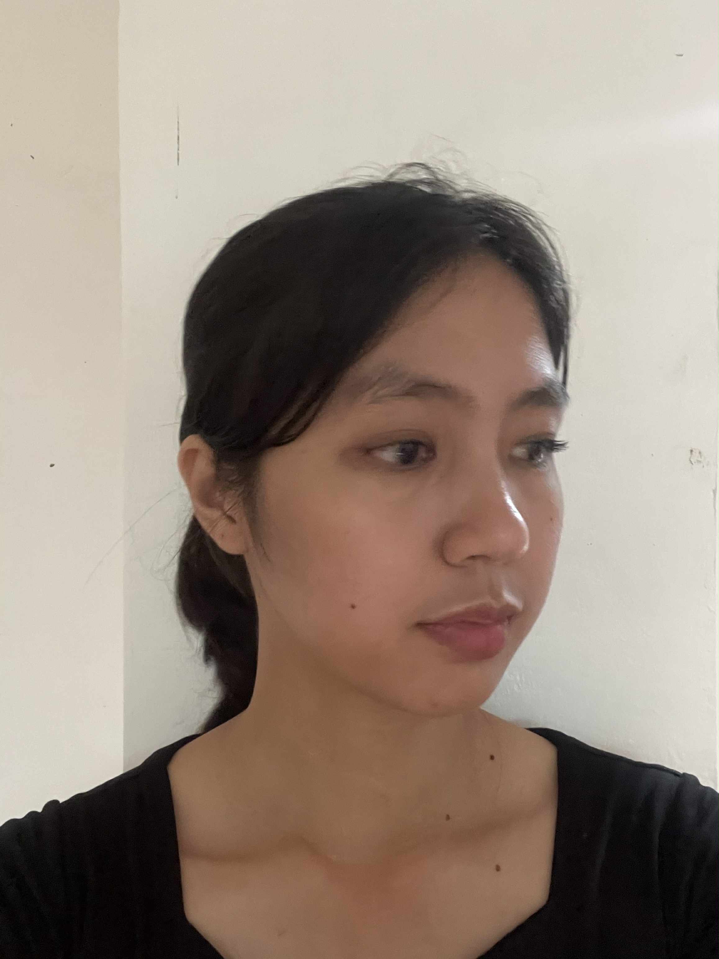 Face Recognition Object Detection Model by Facial Recognition