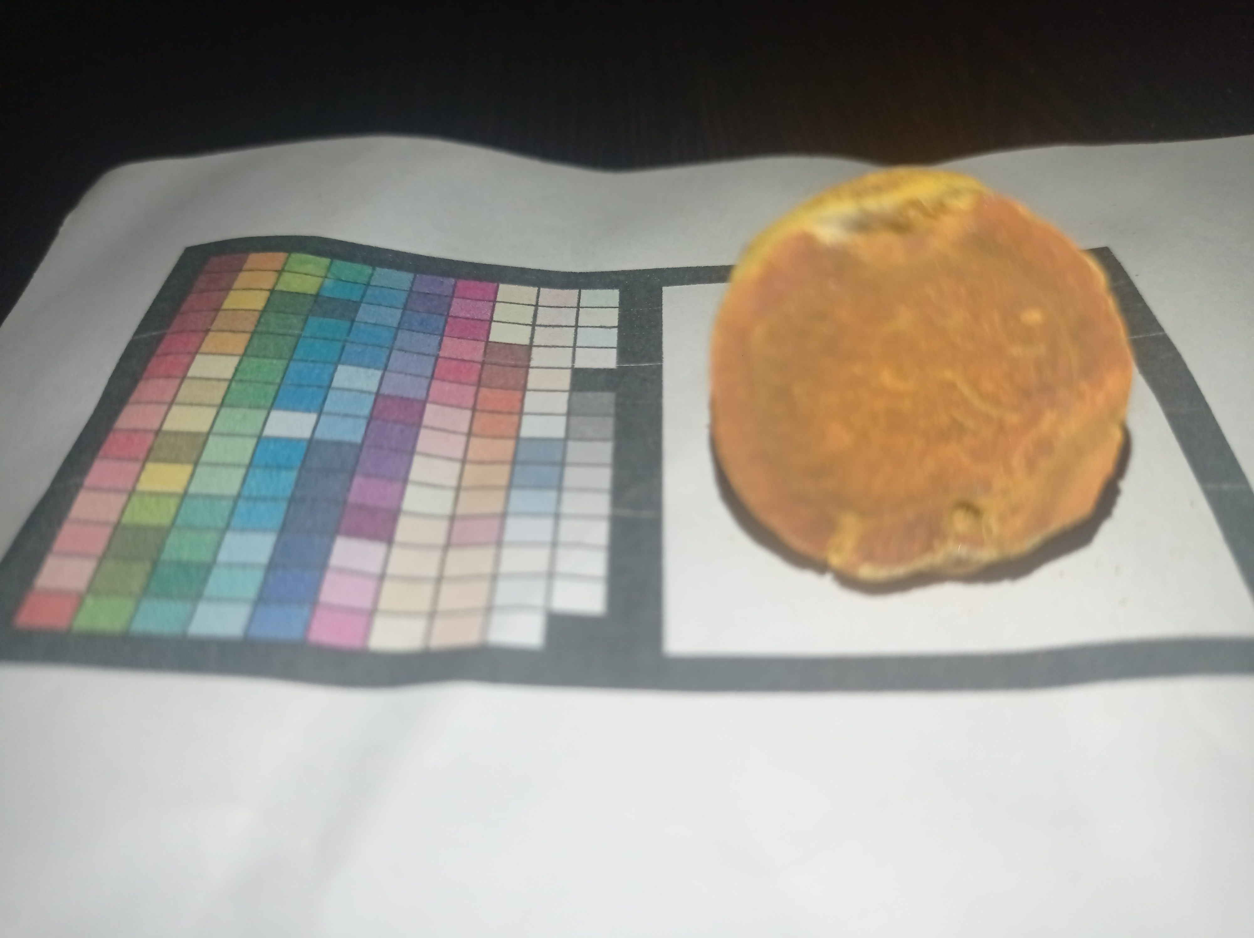 Cross Section Detection Instance Segmentation Dataset By Harsha Vardhan