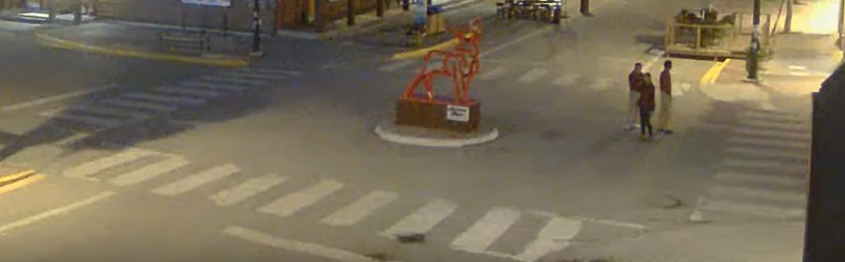 zebra crossing Object Detection Model by Abduraximworkspace