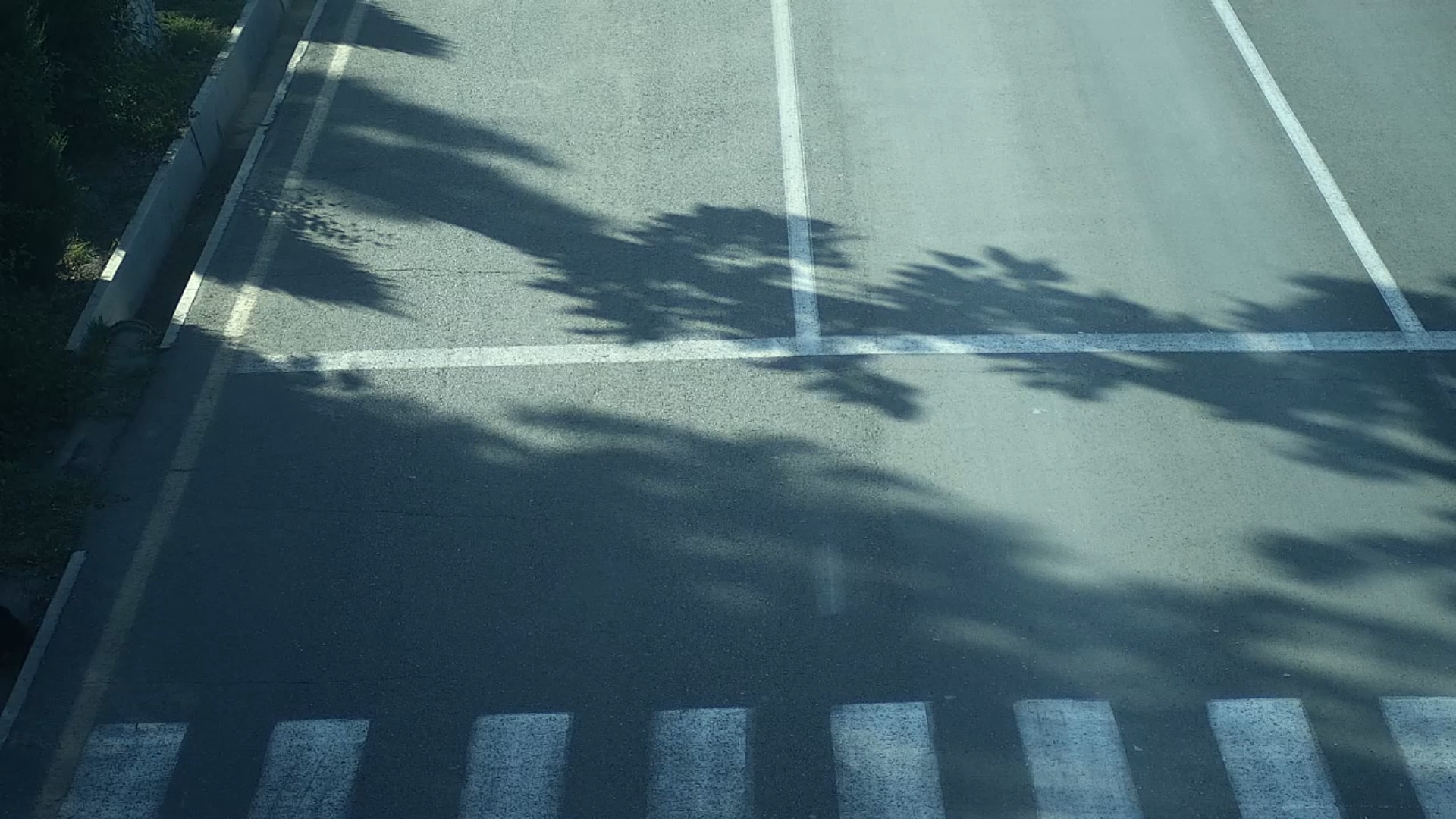 zebra_crossing Object Detection Dataset by Abduraximworkspace