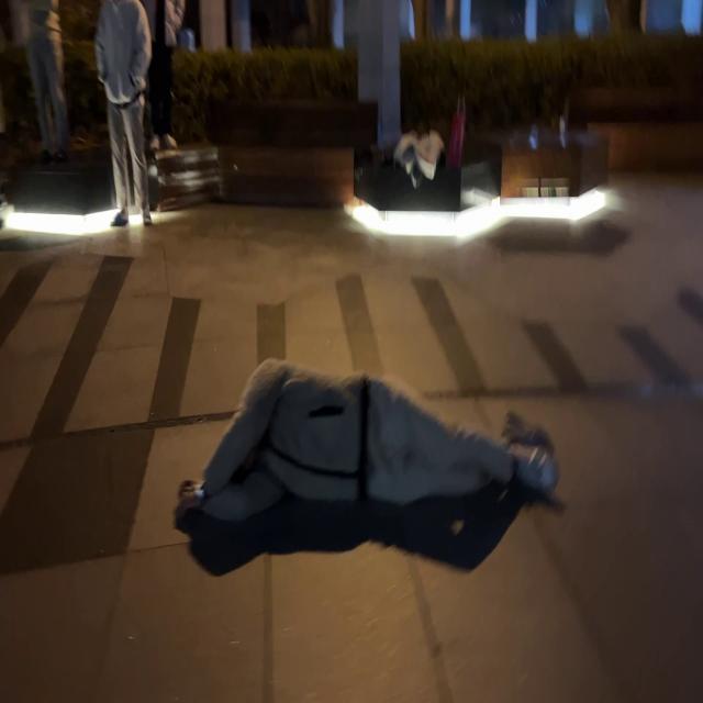 myproject Instance Segmentation Dataset by project-v9t4w