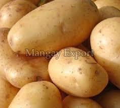 potato_sorting Object Detection Dataset by c Schreyer