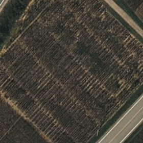 corn3 Object Detection Dataset by yejeong