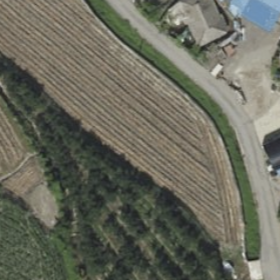 corn_g Object Detection Dataset by yejeong