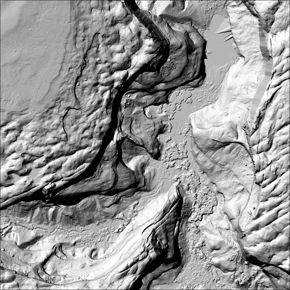 Vegetation Classification Object Detection Dataset By Bohannan Huston
