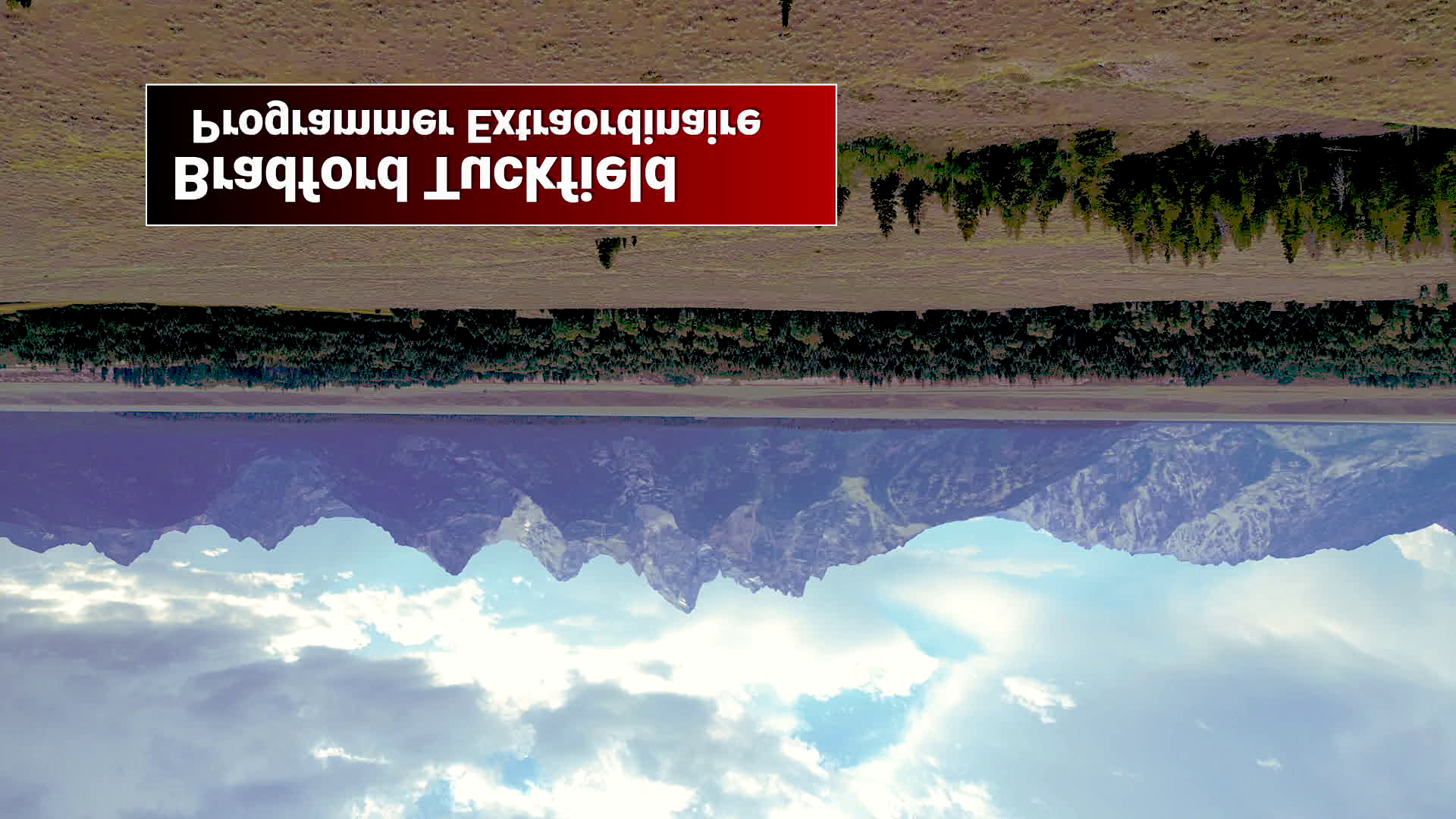 text-detect Object Detection Model by testing