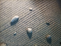 Field detection - Roboflow Universe