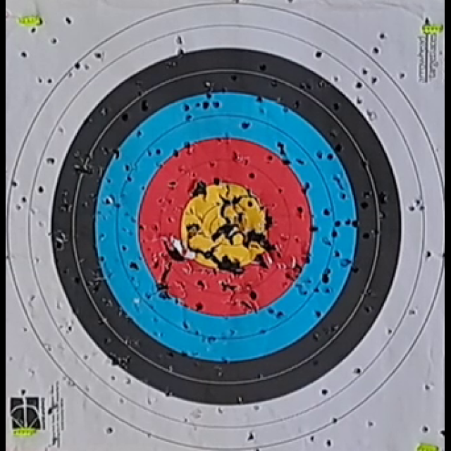 archery_target_segmentation Instance Segmentation Dataset and Pre-Trained Model by archery ...