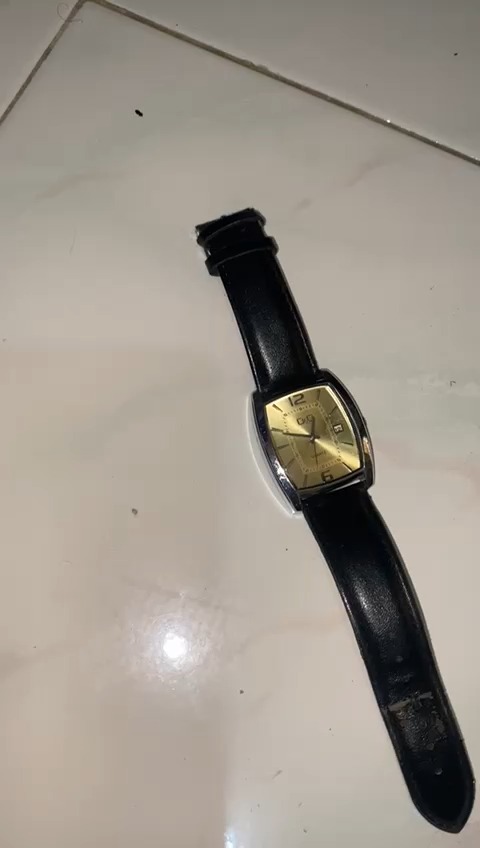 Handwatch Object Detection Dataset And Pre Trained Model By Ruang