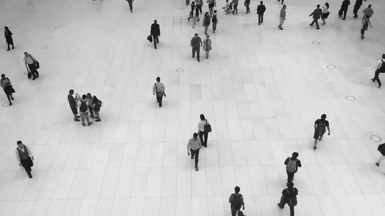 Anonymizace mall Object Detection Dataset by YoloV8