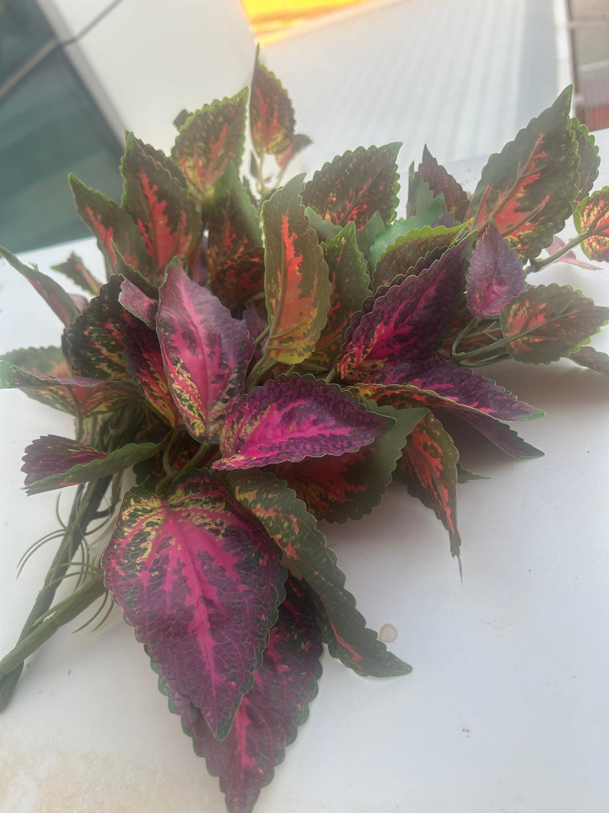 Tekno_Bitki Object Detection Dataset by TeknoBitki